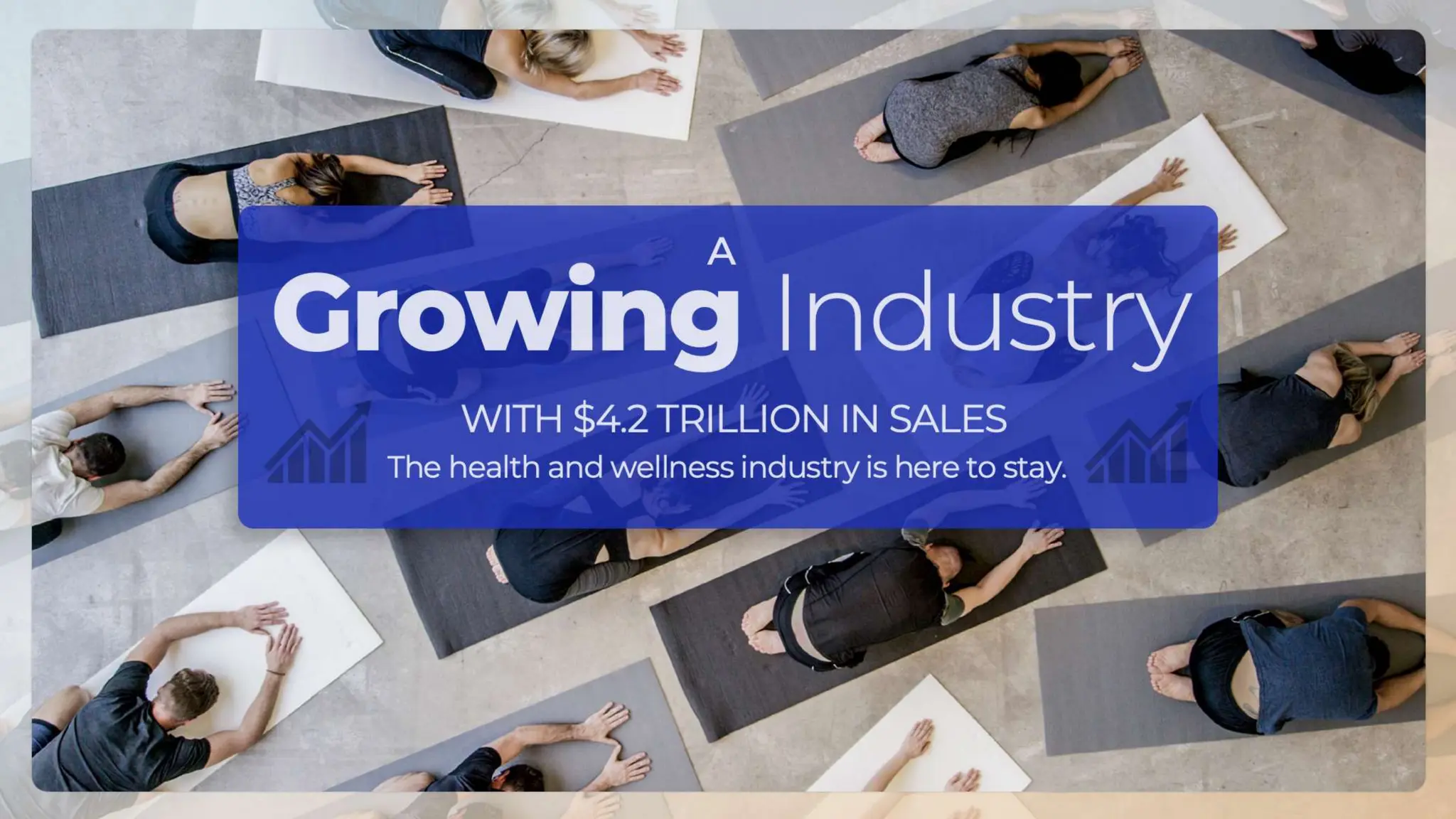 The USANA Difference – PowerPoint Presentation.pptx | Free Download