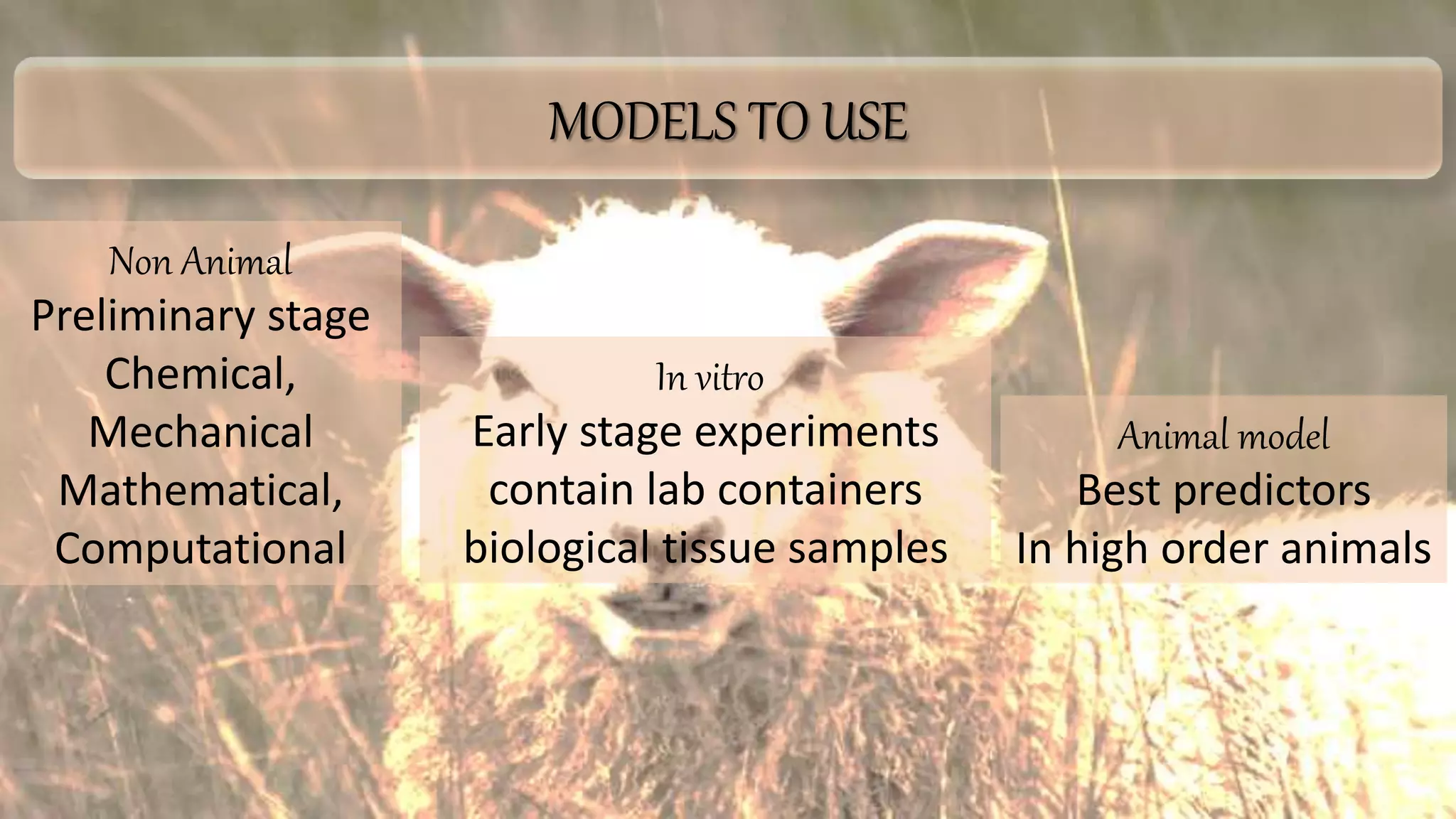 THE USE OF ANIMAL SUBJECTS IN RESEARCH.pptx