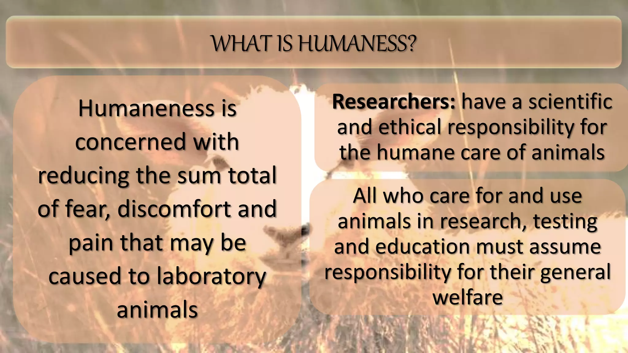 THE USE OF ANIMAL SUBJECTS IN RESEARCH.pptx