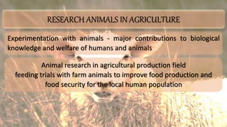 THE USE OF ANIMAL SUBJECTS IN RESEARCH.pptx