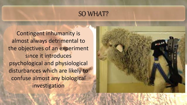 THE USE OF ANIMAL SUBJECTS IN RESEARCH.pptx | Veterinary Medicine | Pets
