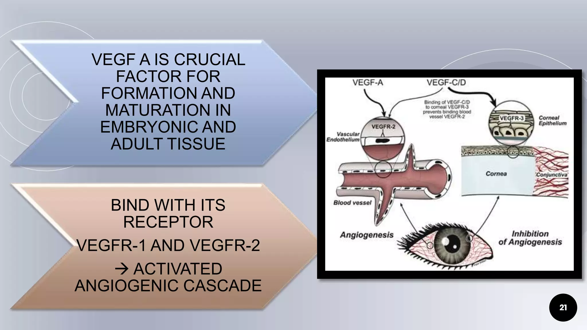 The use of anti vegf in corneal neovascularization | PPTX