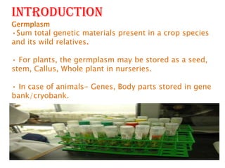 The use of biotechnology for conservation and utilization of plant ...