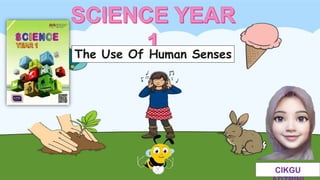 THE USE OF HUMAN SENSE.pptx