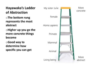 The use of language and it’s different rules | PPT