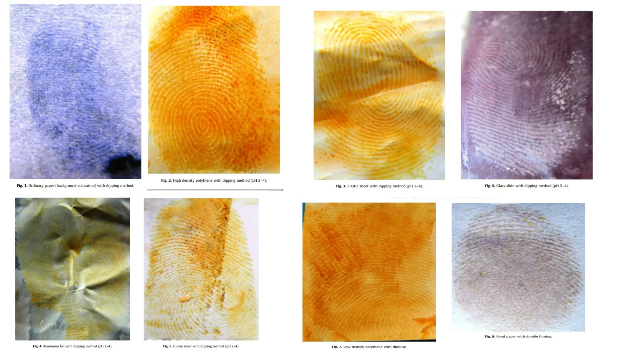 The use of Oil Red O in sequence. And iodine fuming,Journal review ...