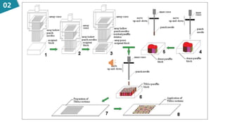 The use of tissue array | PPTX