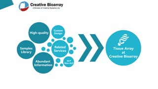 The use of tissue array | PPTX