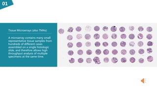 The use of tissue array | PPTX