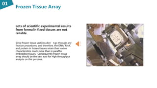 The use of tissue array | PPTX