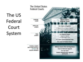 The Federal Court System