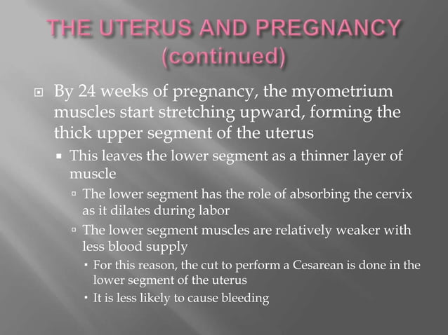 The uterus medical terminology p1 | PPT