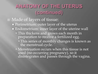 The uterus medical terminology p1 | PPTX