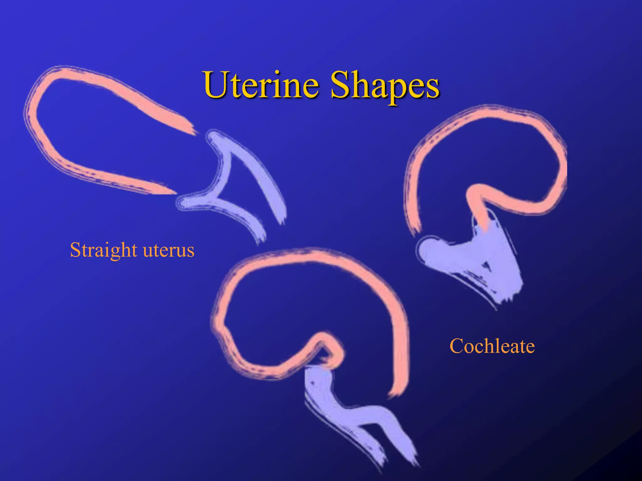 Ultrasound of uterus, part 1 | PPTX