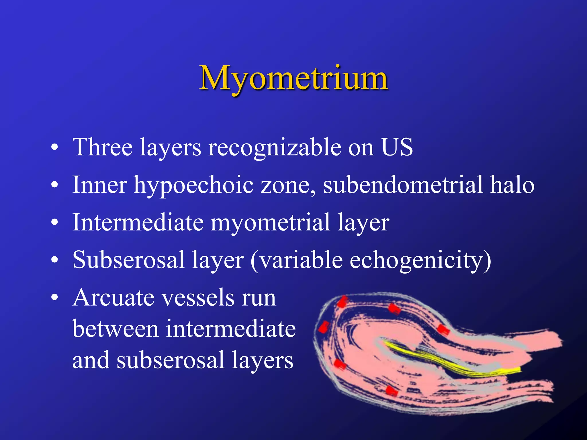 Ultrasound of uterus, part 1 | PPTX
