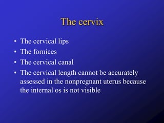 Ultrasound of uterus, part 1 | PPTX