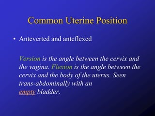 Ultrasound of uterus, part 1 | PPT