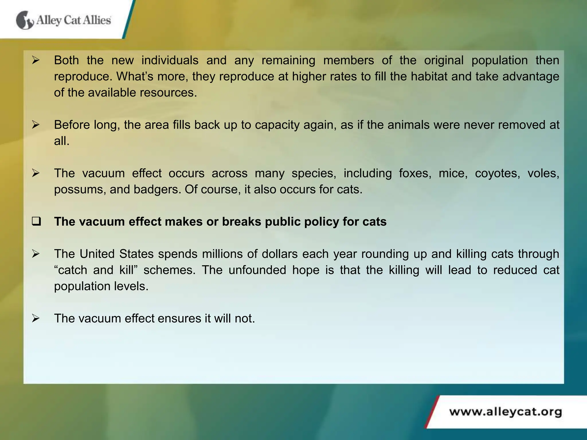 The vacuum effect | PPTX