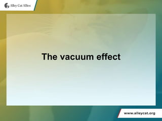 The vacuum effect | PPTX