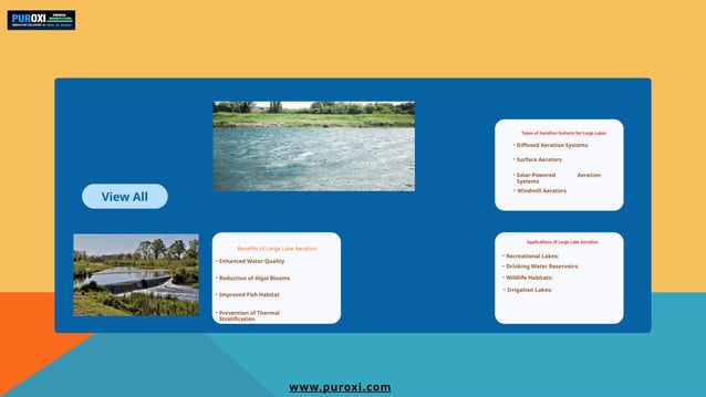 The Value of an Aeration System for Ponds | PPTX