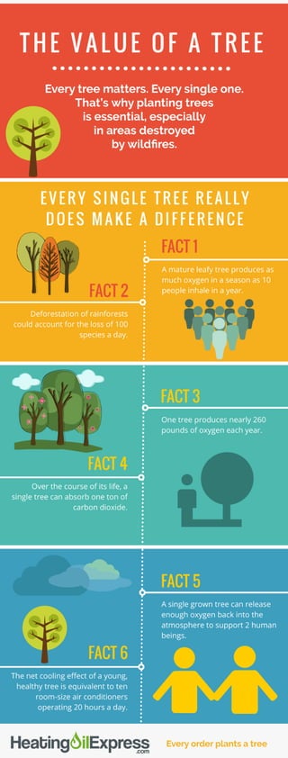 The Value of a Tree | PDF