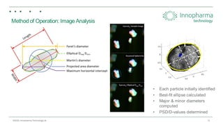The Value of Real-time Imaging: Integrating Particle Size Analysis onto ...