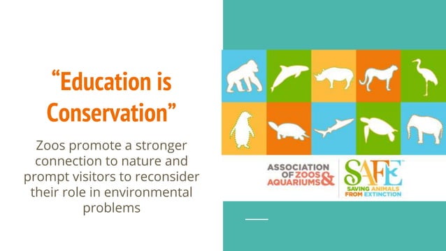 The Value of Zoos for Science and Conservation | PPTX | Zoos ...
