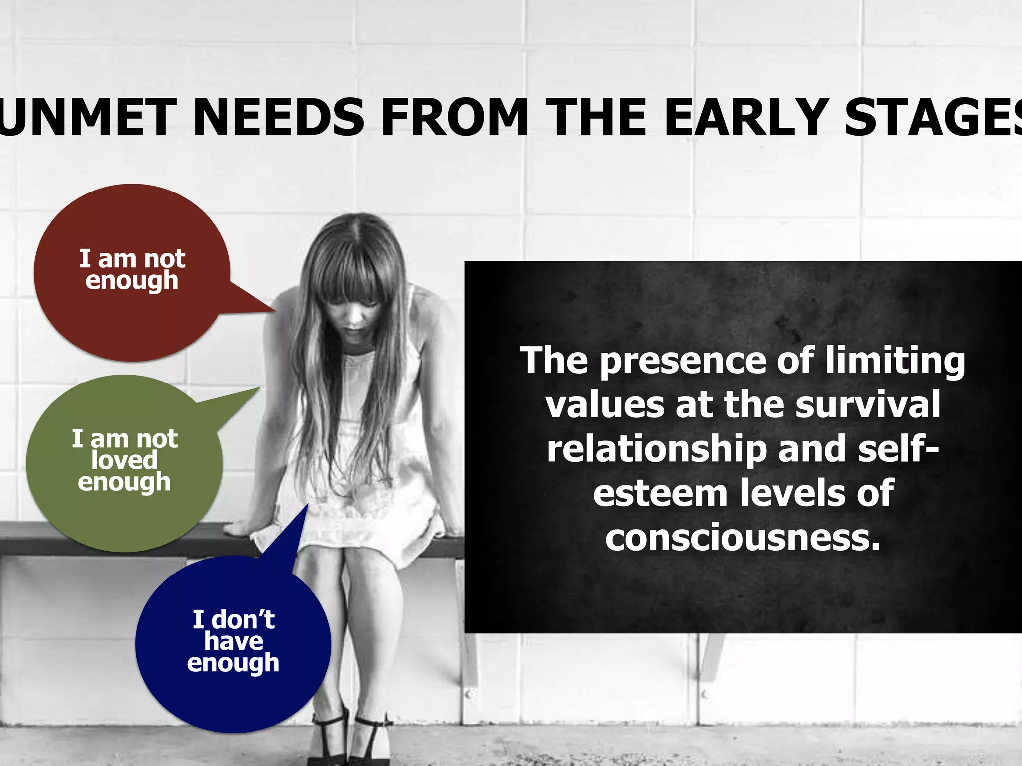 The Values-Driven Leader - Richard Barrett | PPTX