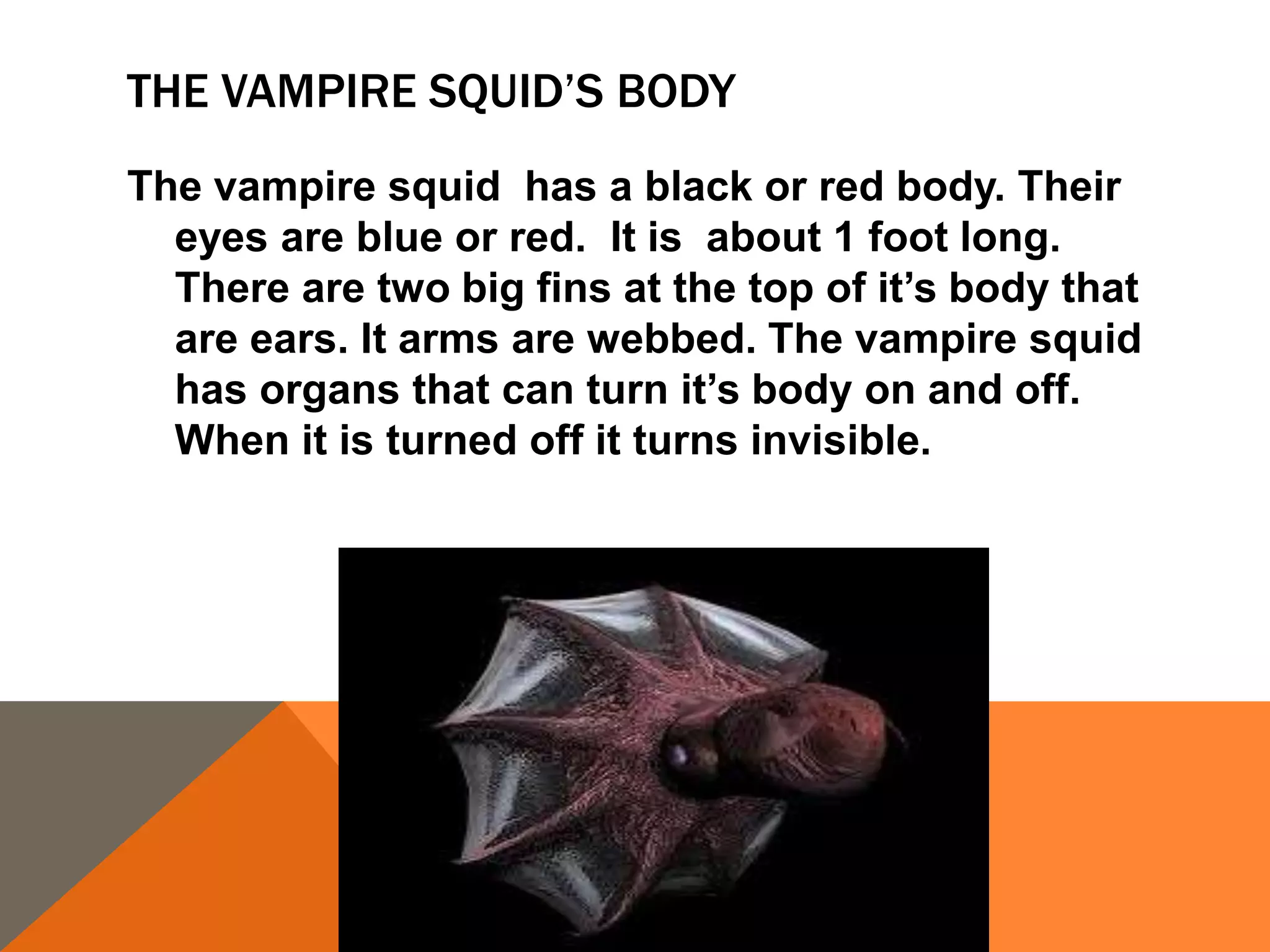 The vampire squid_sn2 (2) | PPTX