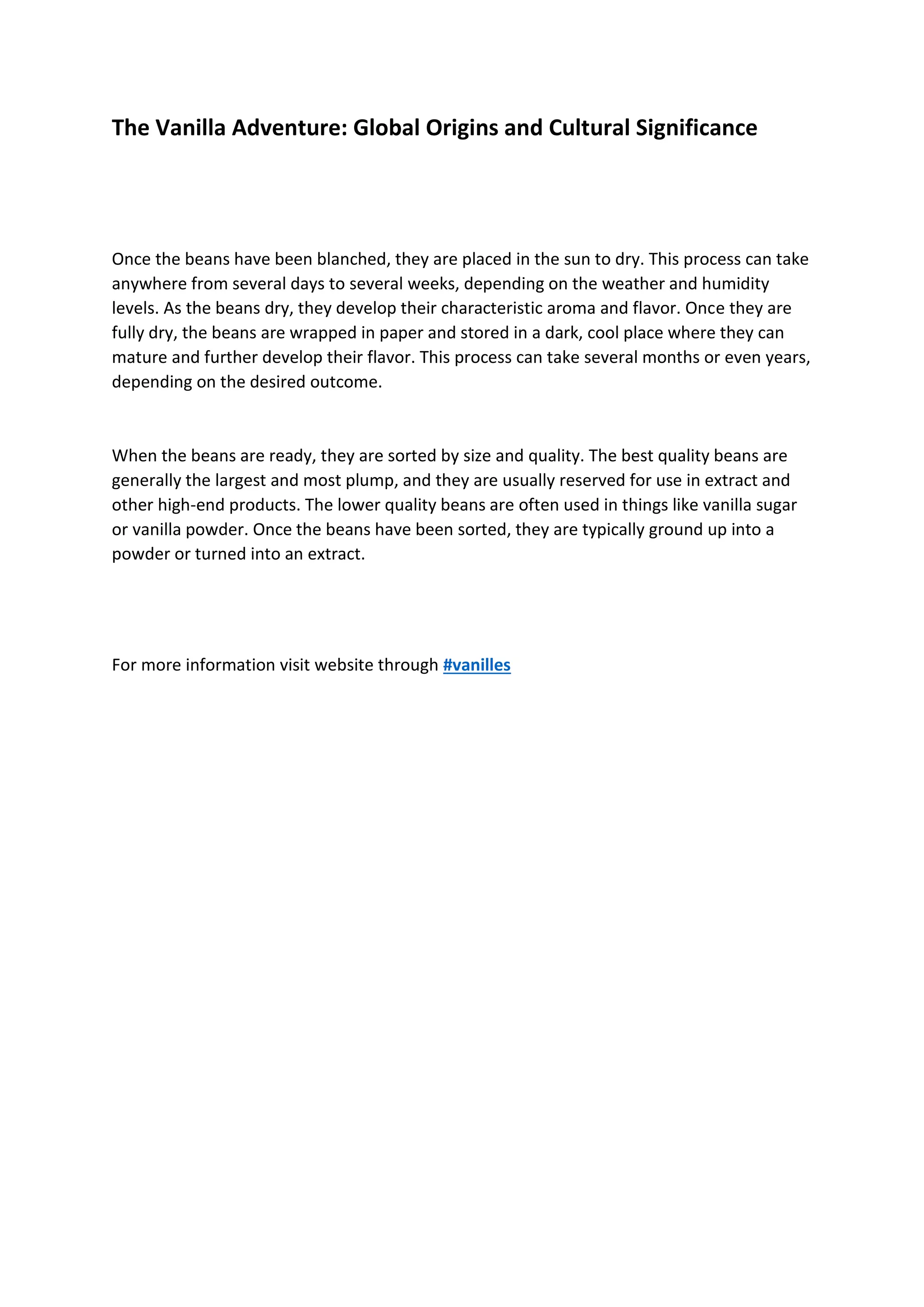 The Vanilla Adventure.docx