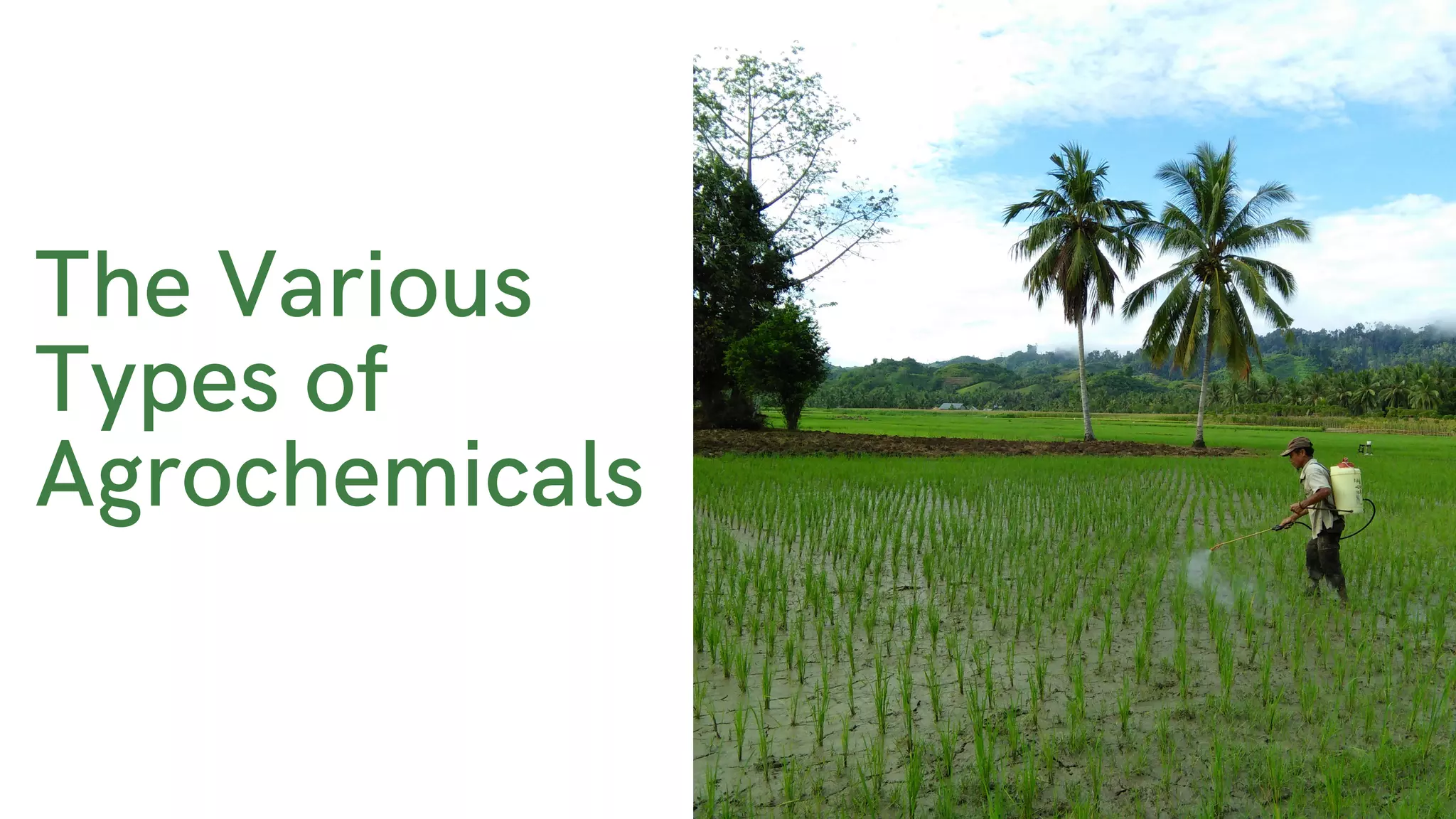 The various types of agrochemicals | PDF