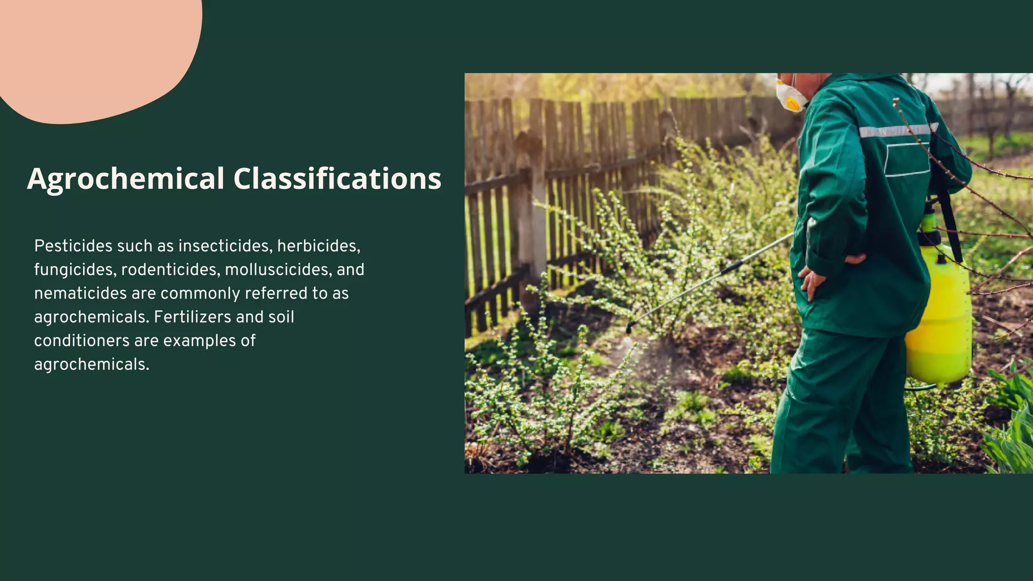 The various types of agrochemicals | PDF