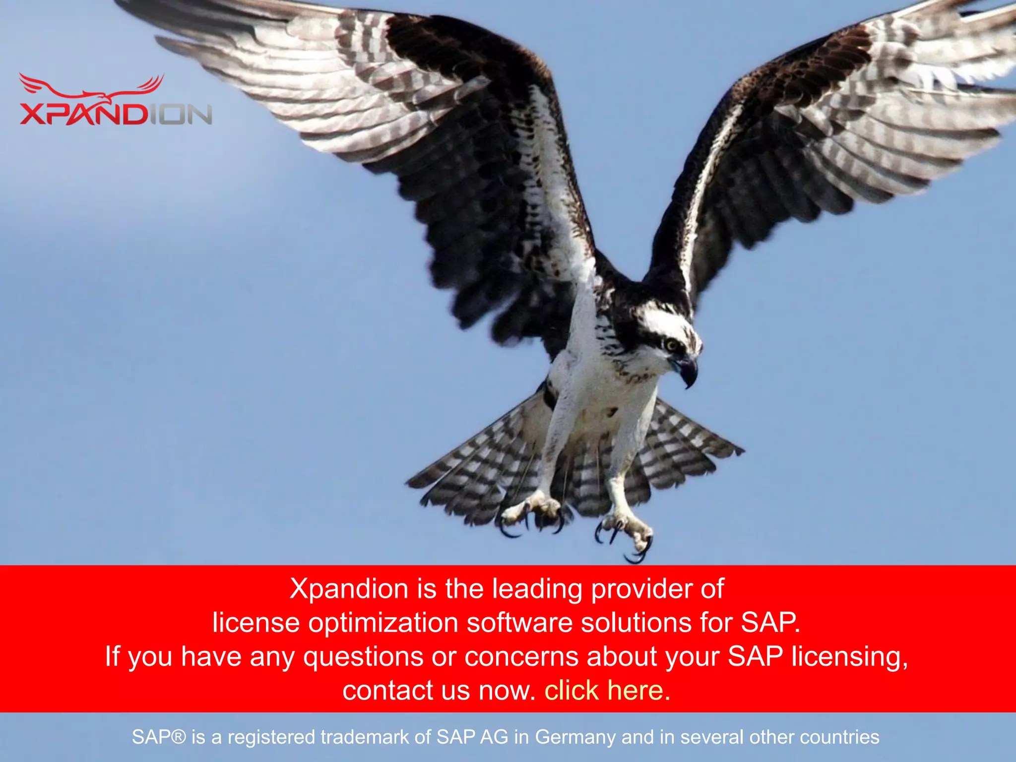 The Various Types of SAP Licenses | PDF