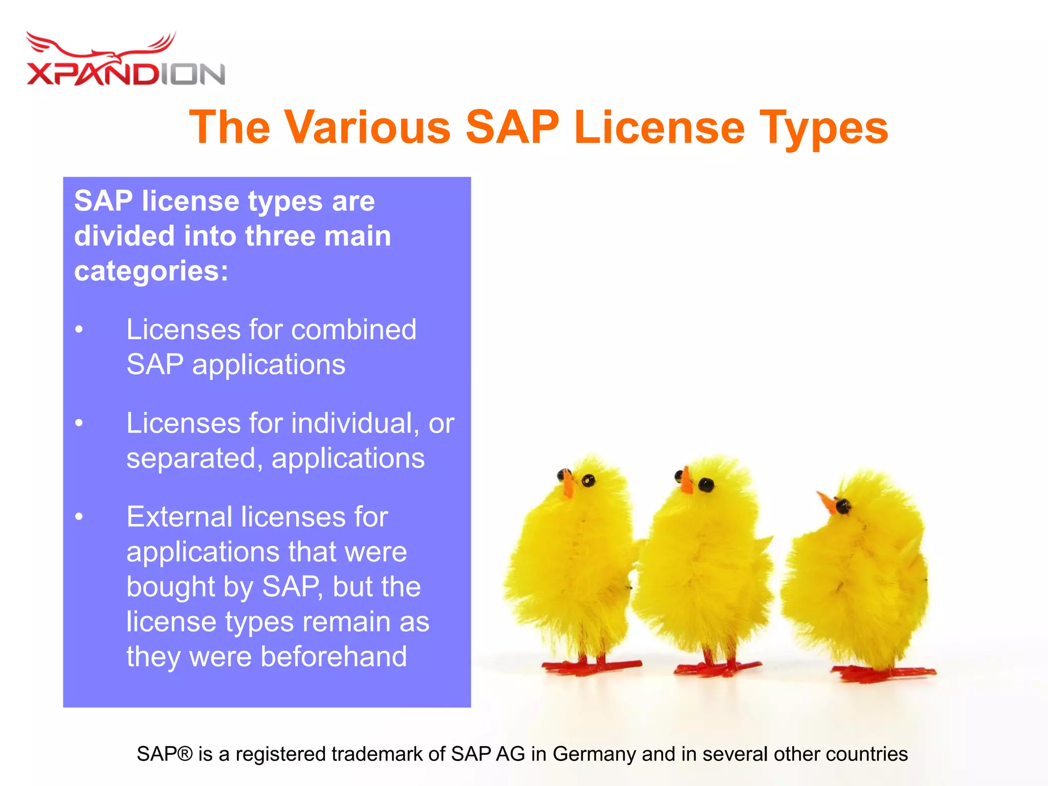 The Various Types of SAP Licenses | PDF