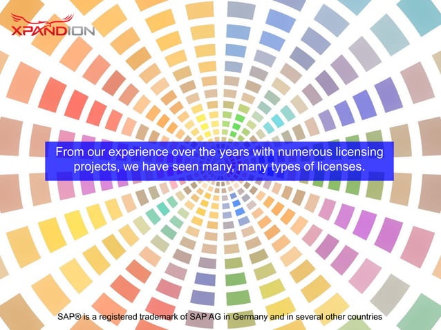 The Various Types of SAP Licenses | PDF