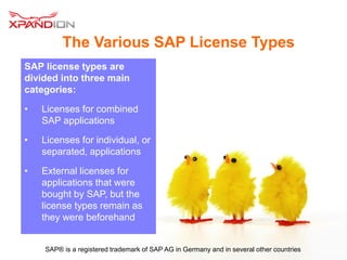 The Various Types of SAP Licenses | PDF
