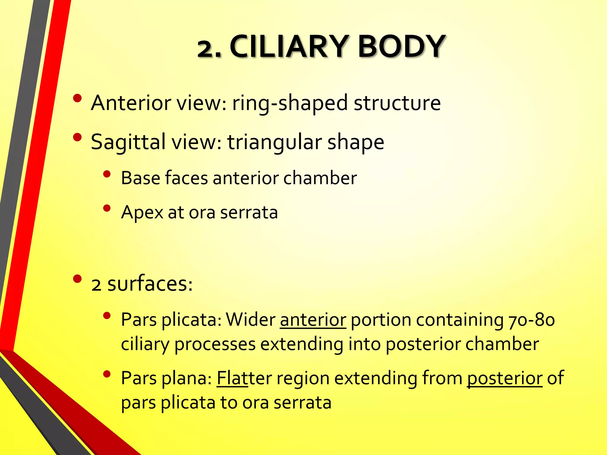 The vascular coat of the eye | PPTX