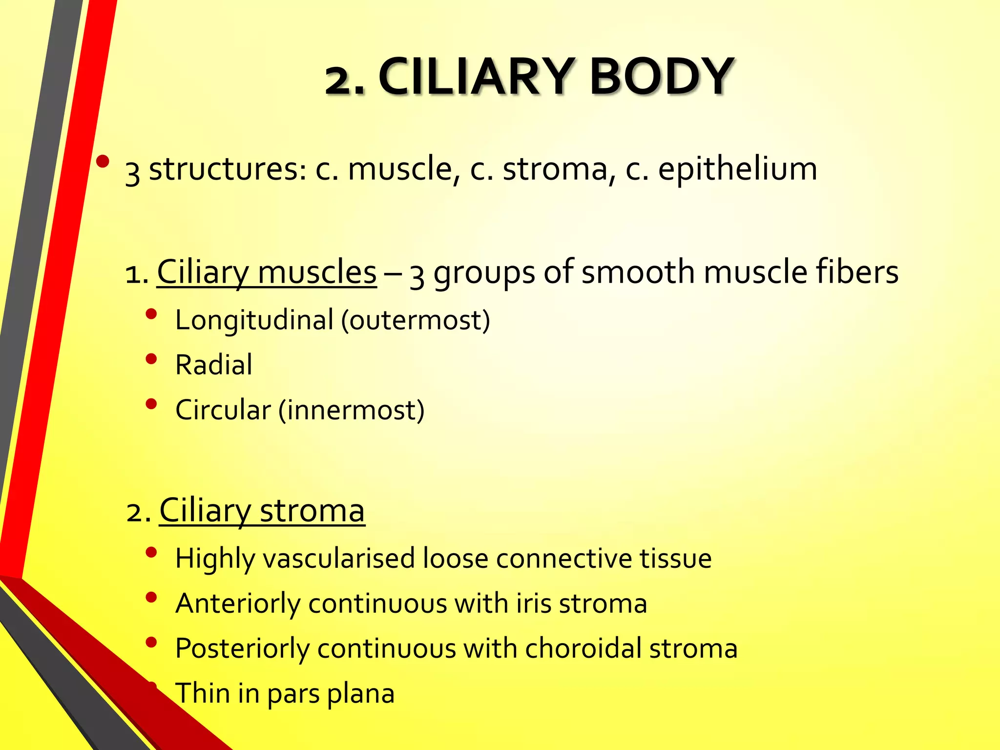 The vascular coat of the eye | PPTX