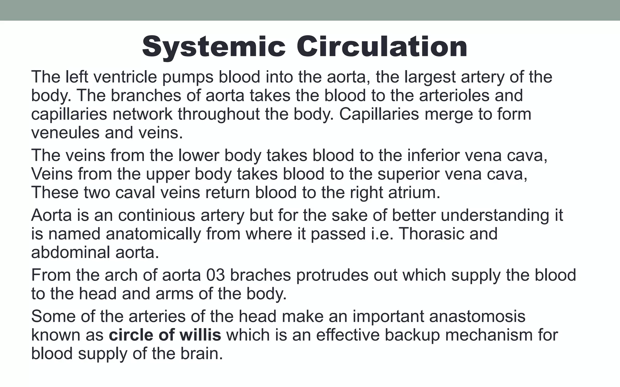The vascular system | PPTX