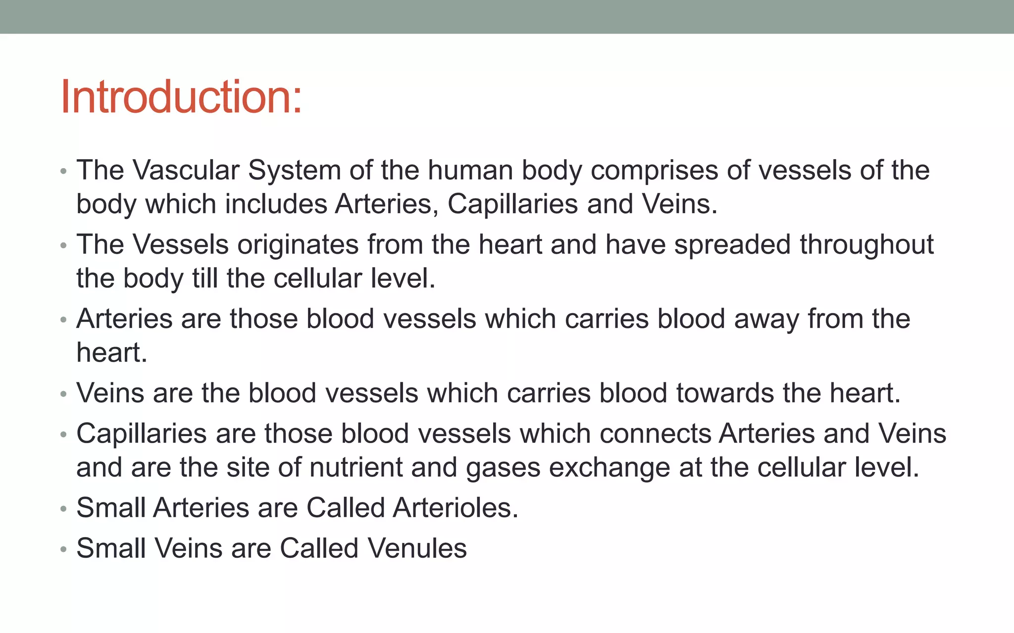 The vascular system | PPTX
