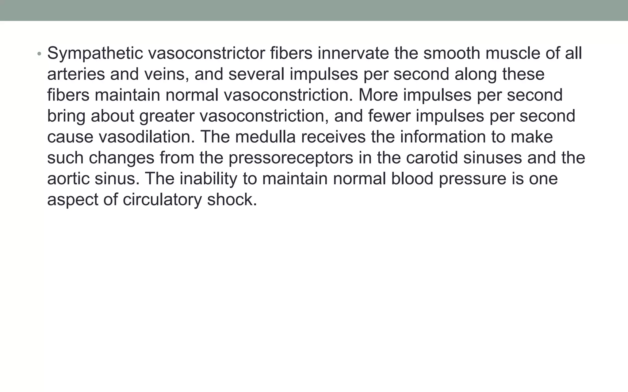 The vascular system | PPTX