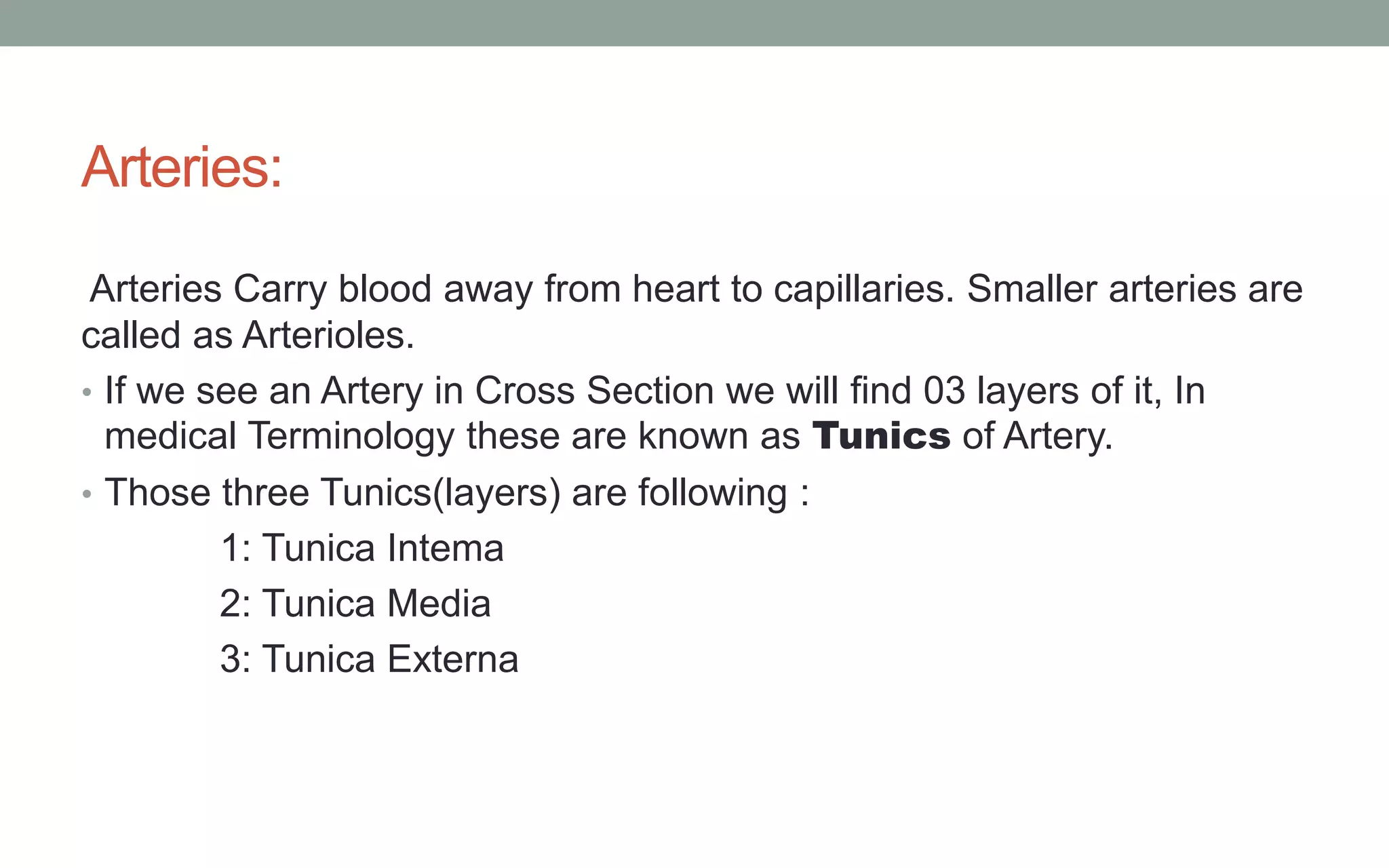 The vascular system | PPTX