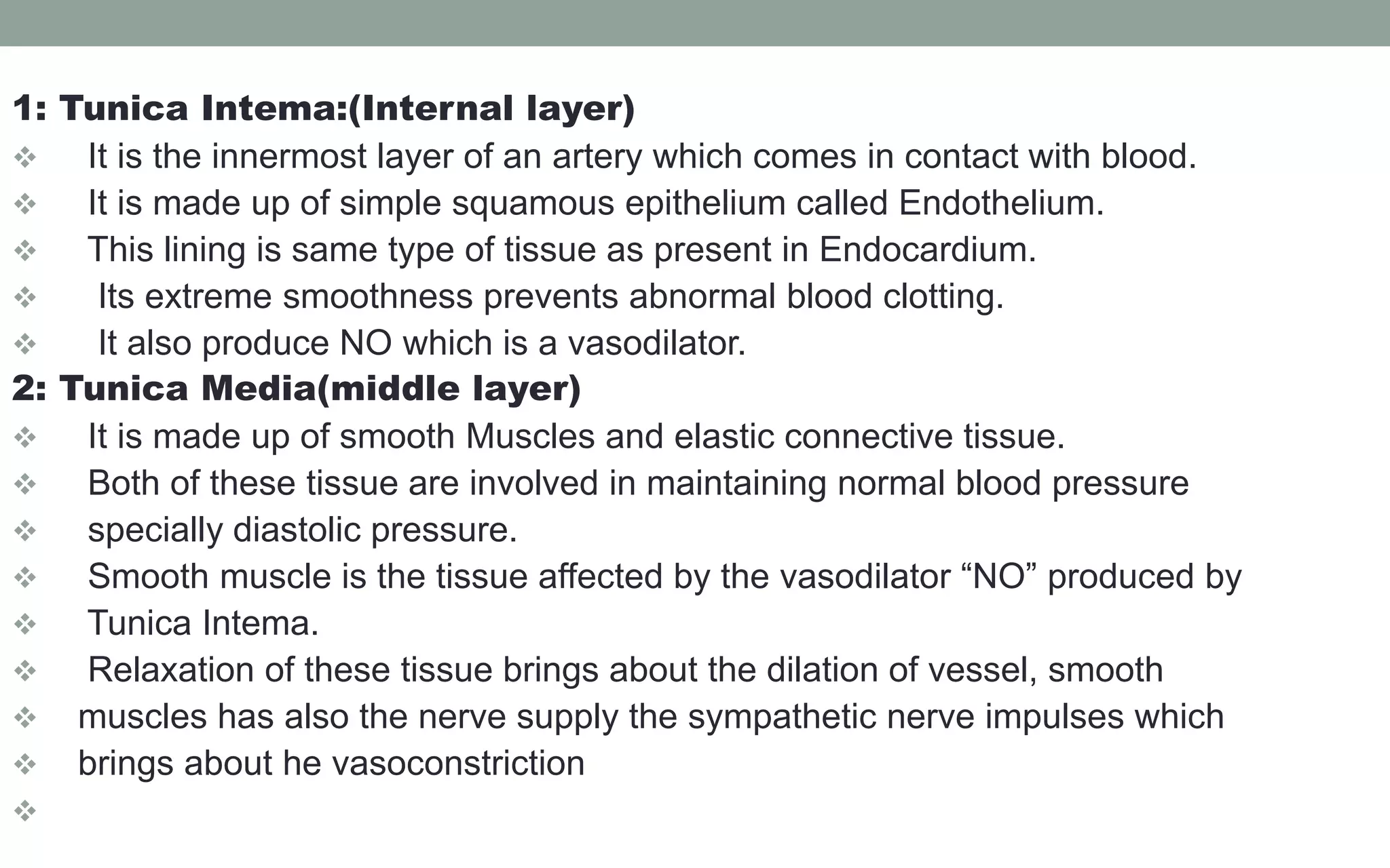 The vascular system | PPTX