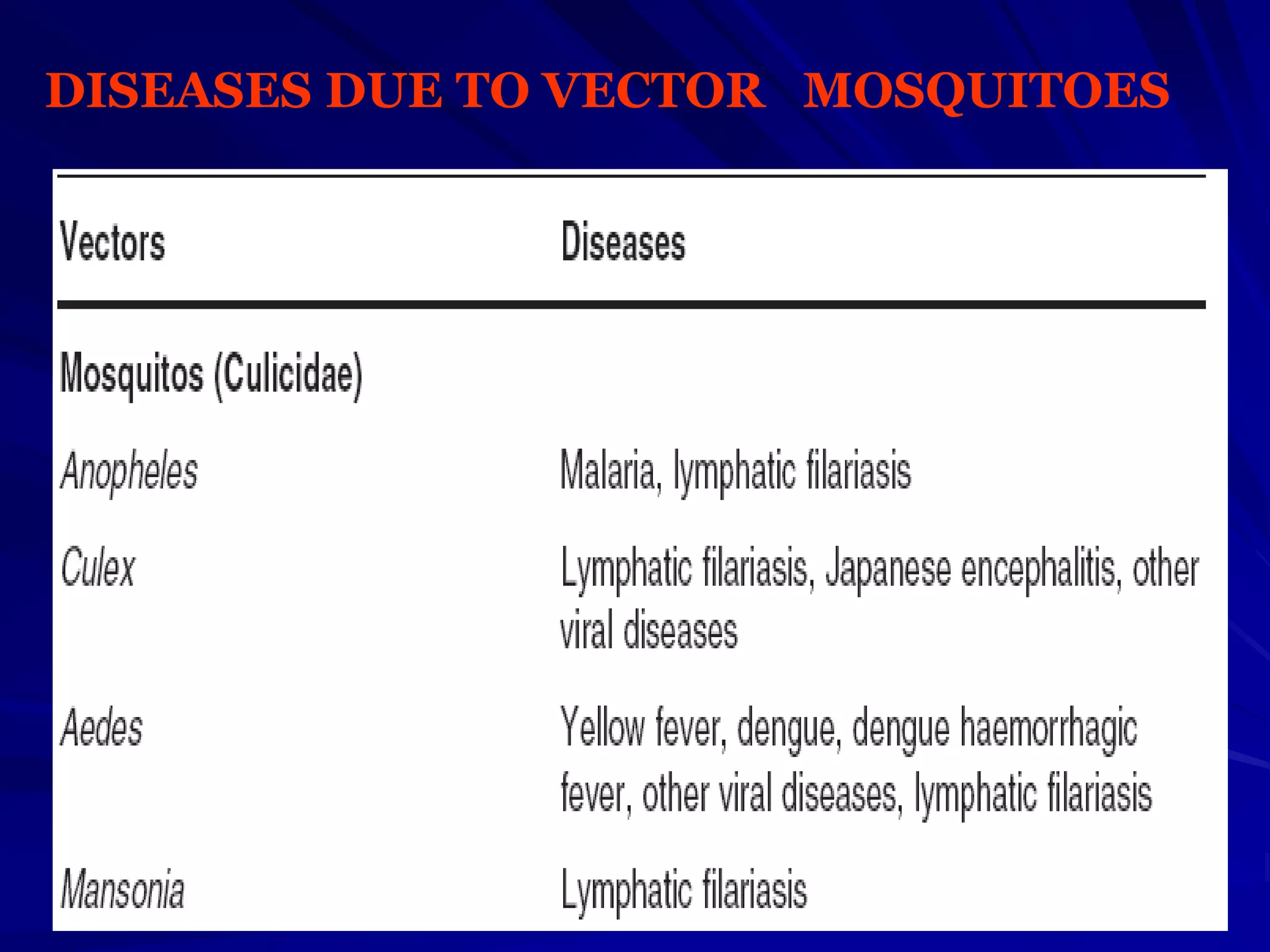 The vector mosquitoes | PPTX