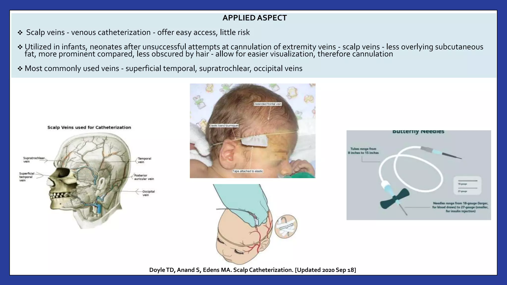 The veins of the head and neck | PPTX