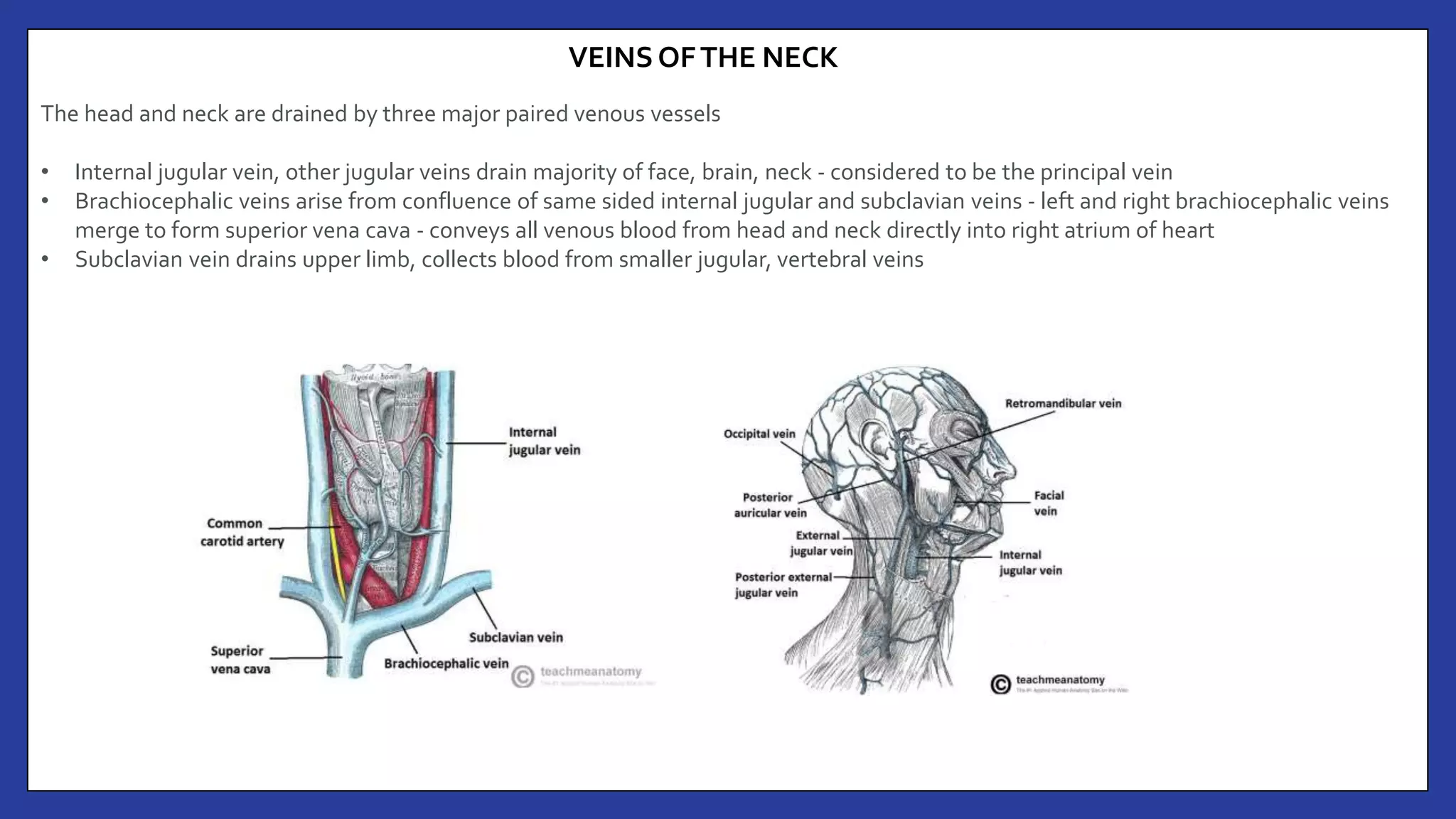 The veins of the head and neck | PPTX