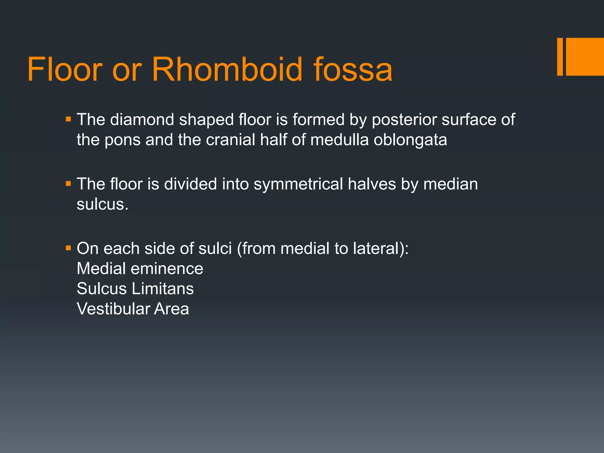 The Ventricular System | PPTX