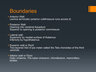 The Ventricular System | PPTX