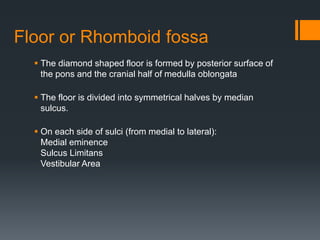 The Ventricular System | PPTX