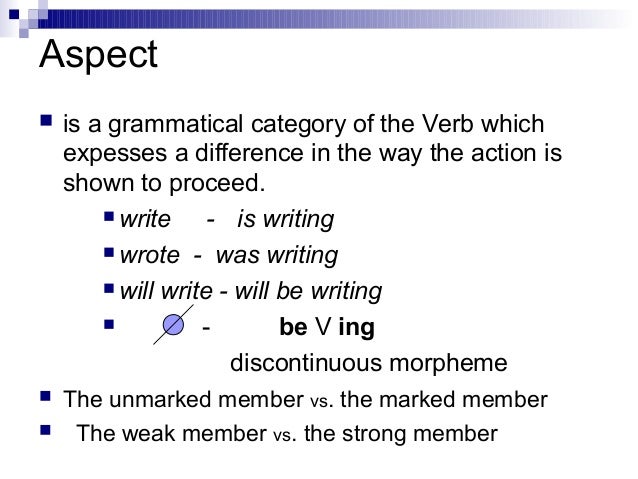 The verb
